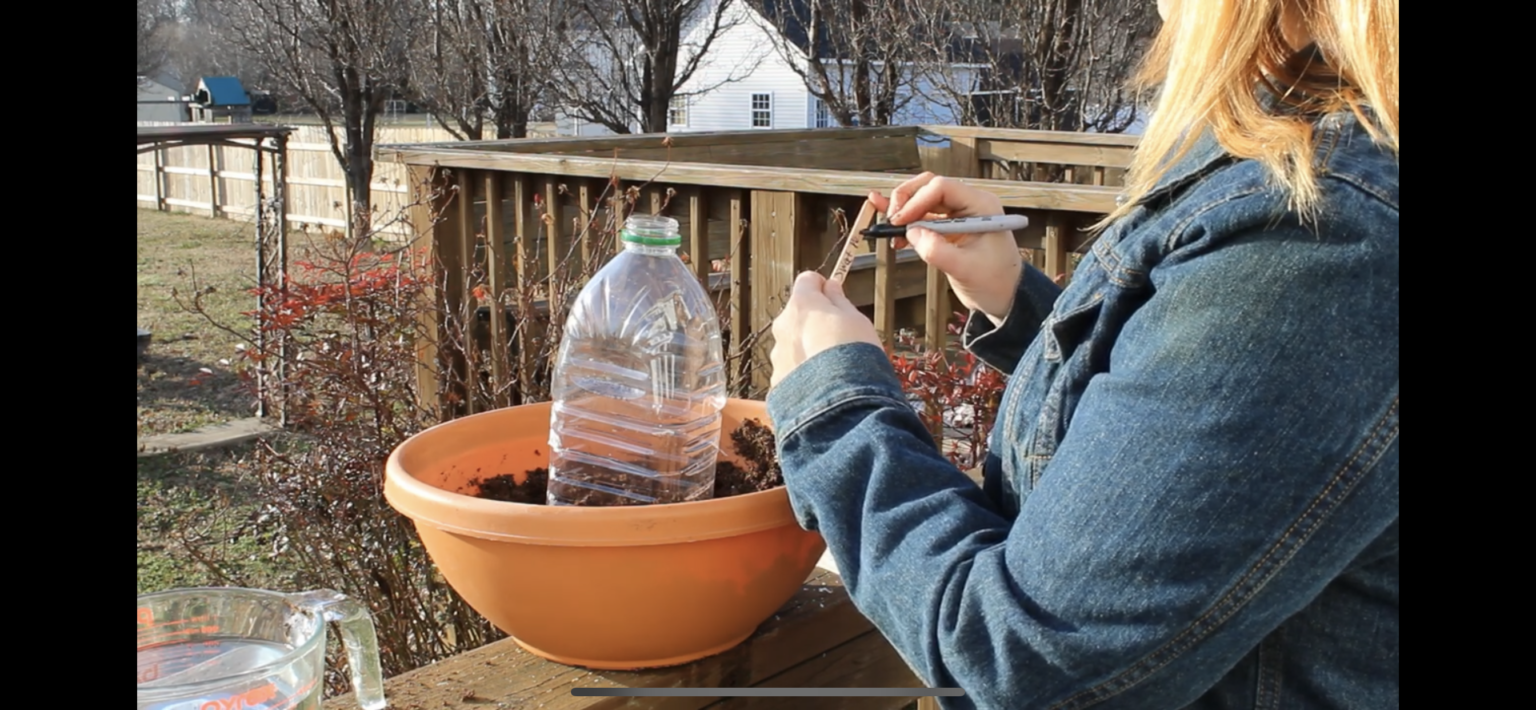 Winter Sowing - A Complete Guide - Generation Acres Farm