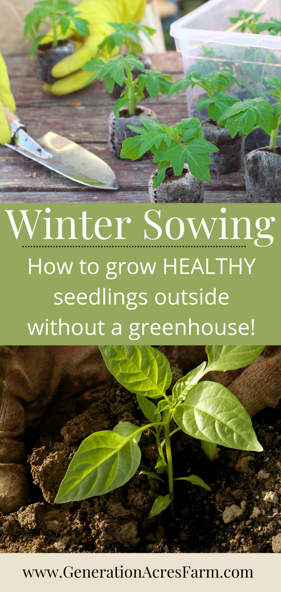 Winter Sowing - A Complete Guide - Generation Acres Farm