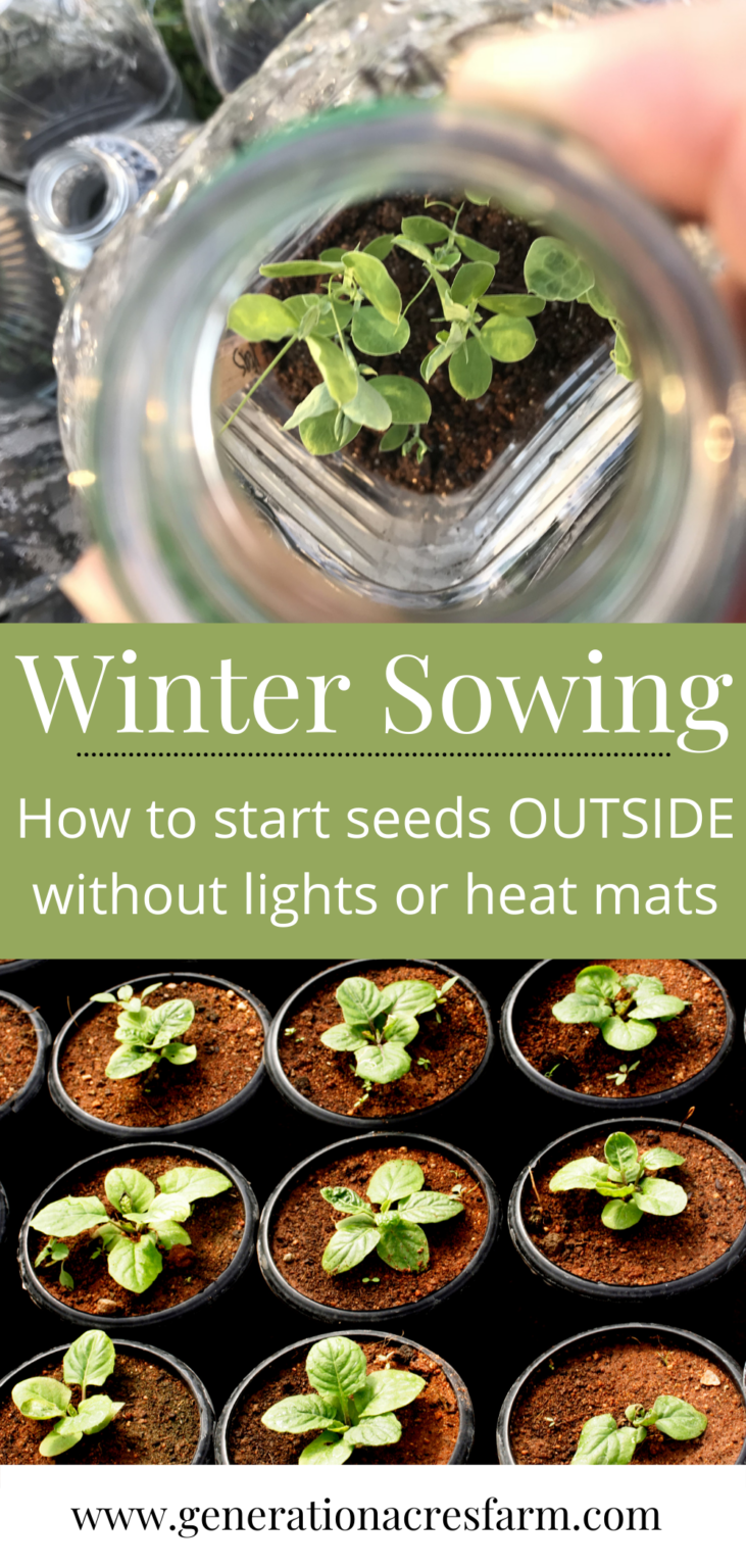 Winter Sowing - A Complete Guide - Generation Acres Farm