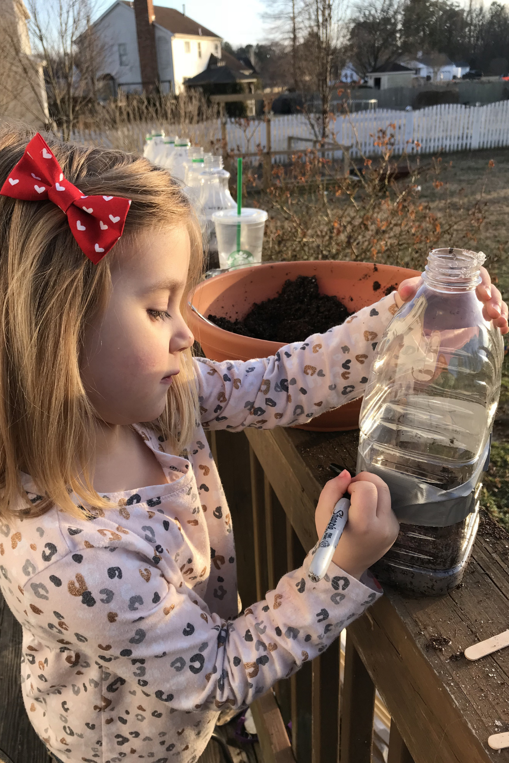 Winter Sowing - A Complete Guide - Generation Acres Farm