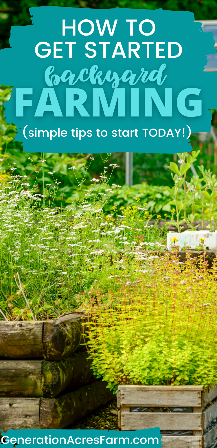 Backyard Farming - Guide For Getting Started - Generation Acres Farm