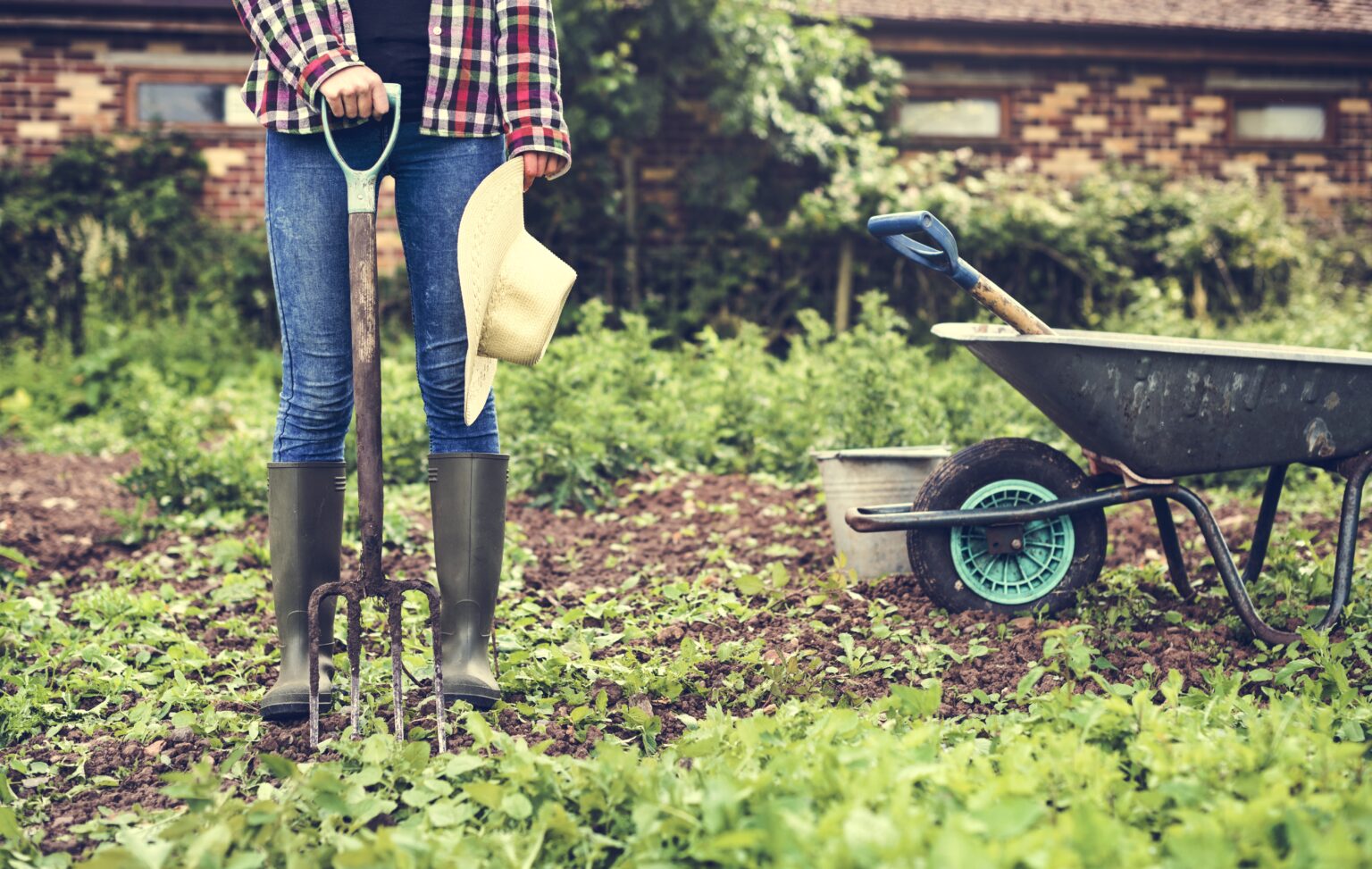 Backyard Farming - Guide For Getting Started - Generation Acres Farm