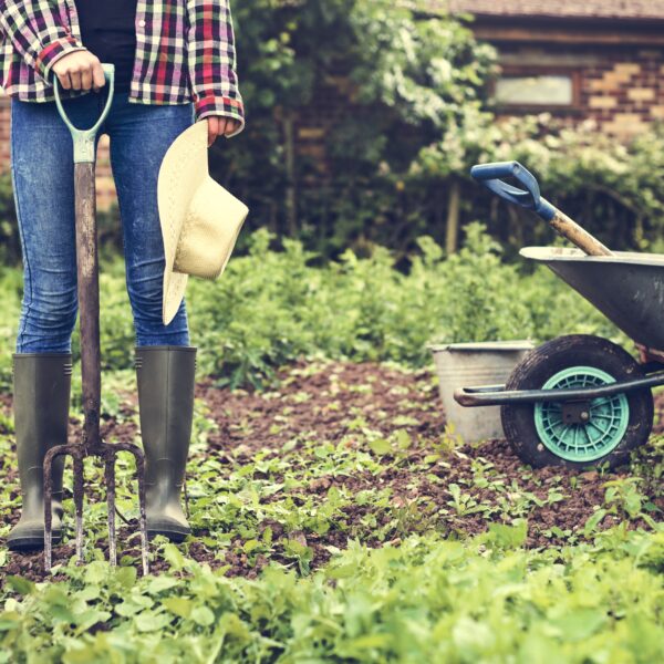 Backyard Farming – Guide For Getting Started - Generation Acres Farm