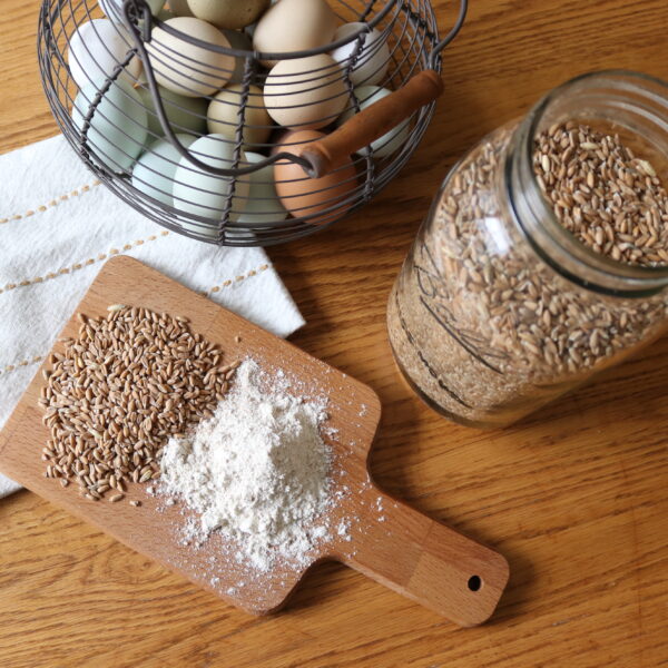 Milling Grains At Home - Generation Acres Farm