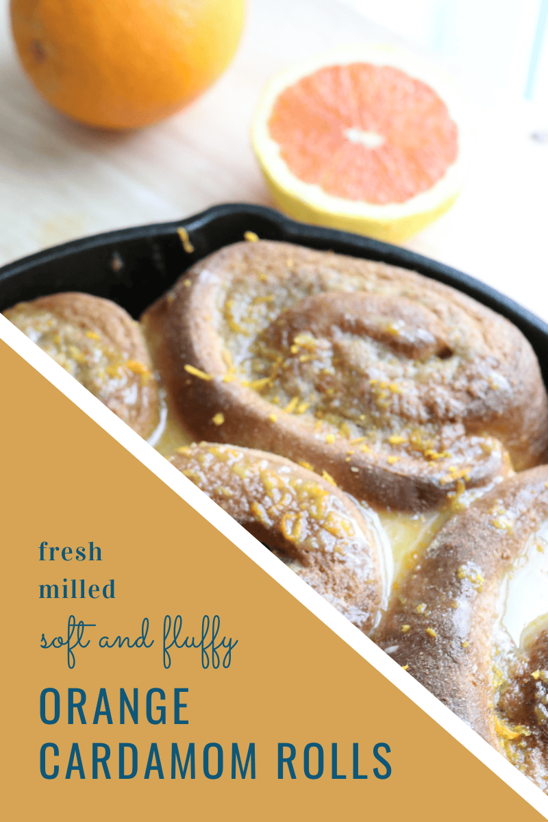 Soft and Sweet Orange Cardamom Rolls with Fresh Milled Flour ...