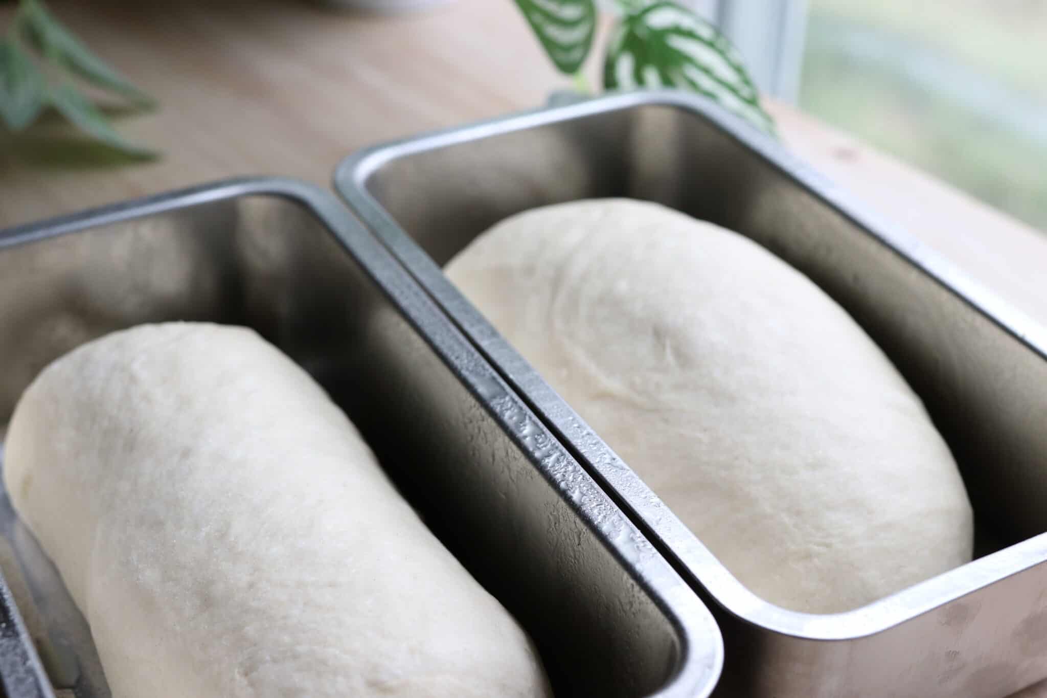 Soft and Fluffy Sandwich Bread Recipe: Your Guide to Perfect Homemade ...