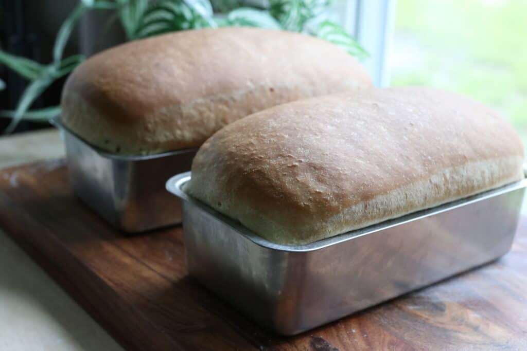 Soft and Fluffy Sandwich Bread Recipe: Your Guide to Perfect Homemade ...