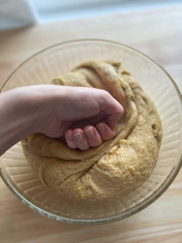 Soft Braided Brioche Bread with Freshly Milled Flour - Generation Acres ...
