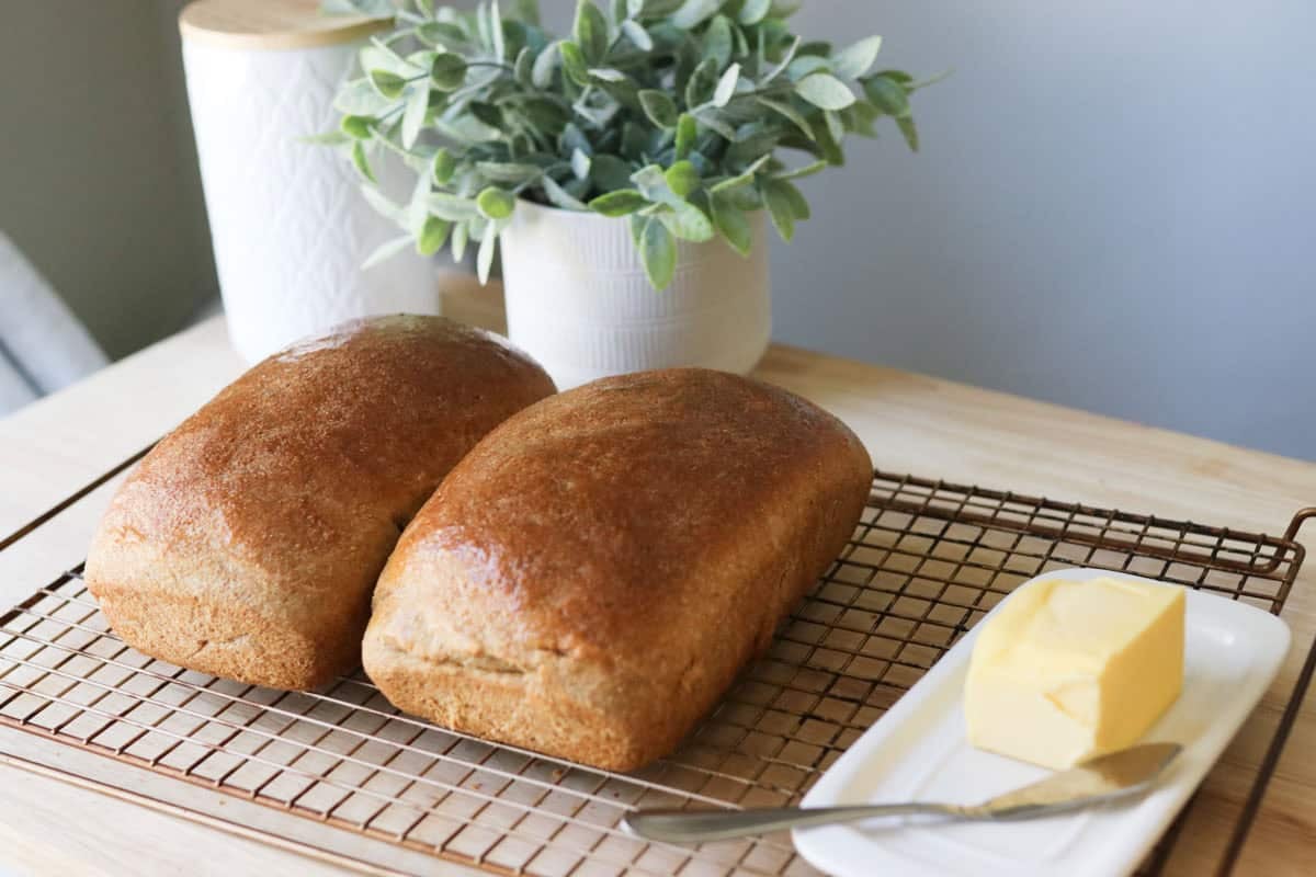 Super Fluffy Sandwich Bread with Fresh Milled Flour - Generation Acres Farm