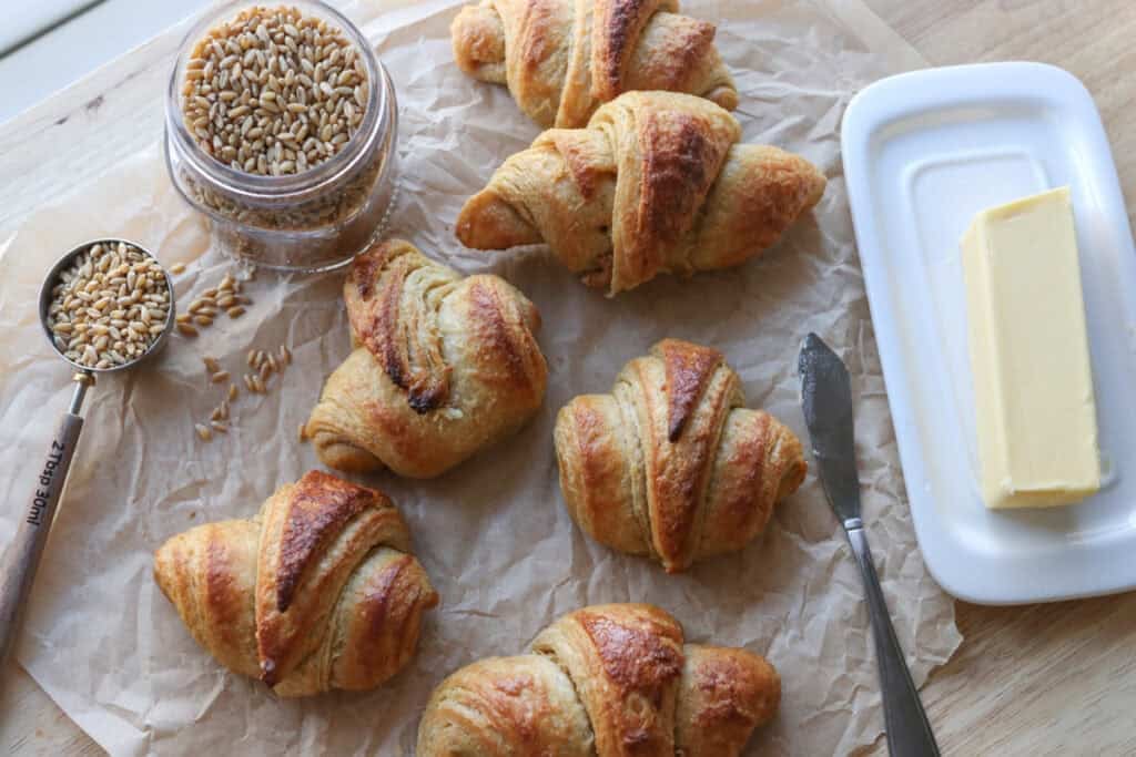 Flaky Buttery Croissants with Fresh Milled Flour - Generation Acres Farm